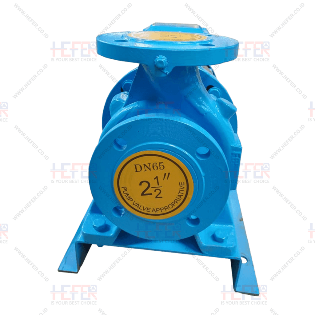 HEFER HORIZONTAL CENTRIFUGAL PUMP ISW65-160 - Hefer